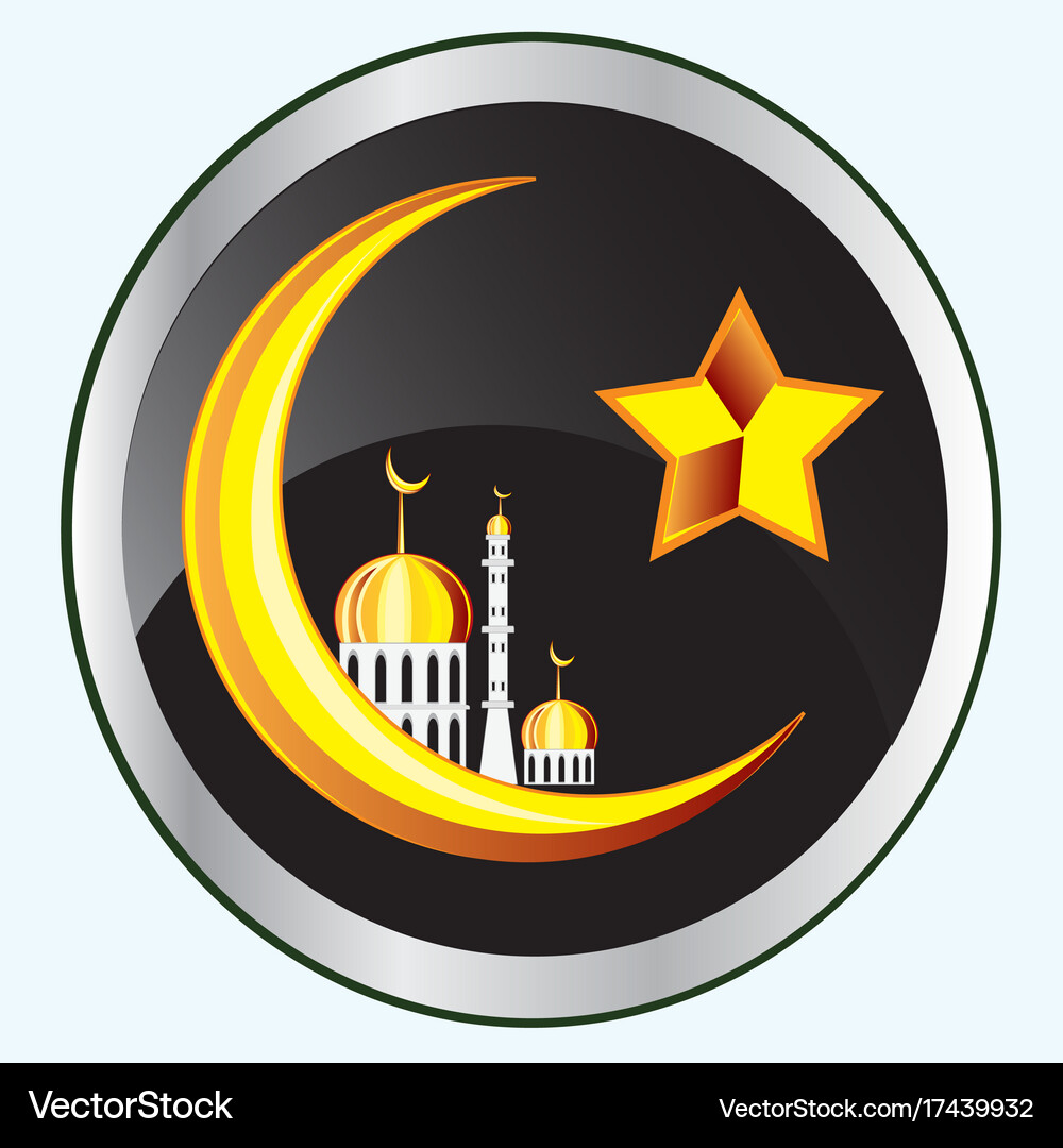Symbol of the islam on button Royalty Free Vector Image