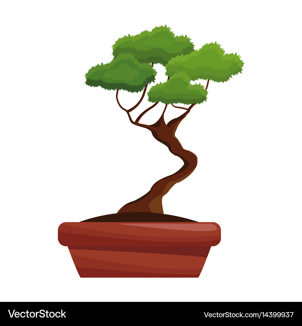 Bonsai pot tree nature decoration Royalty Free Vector Image