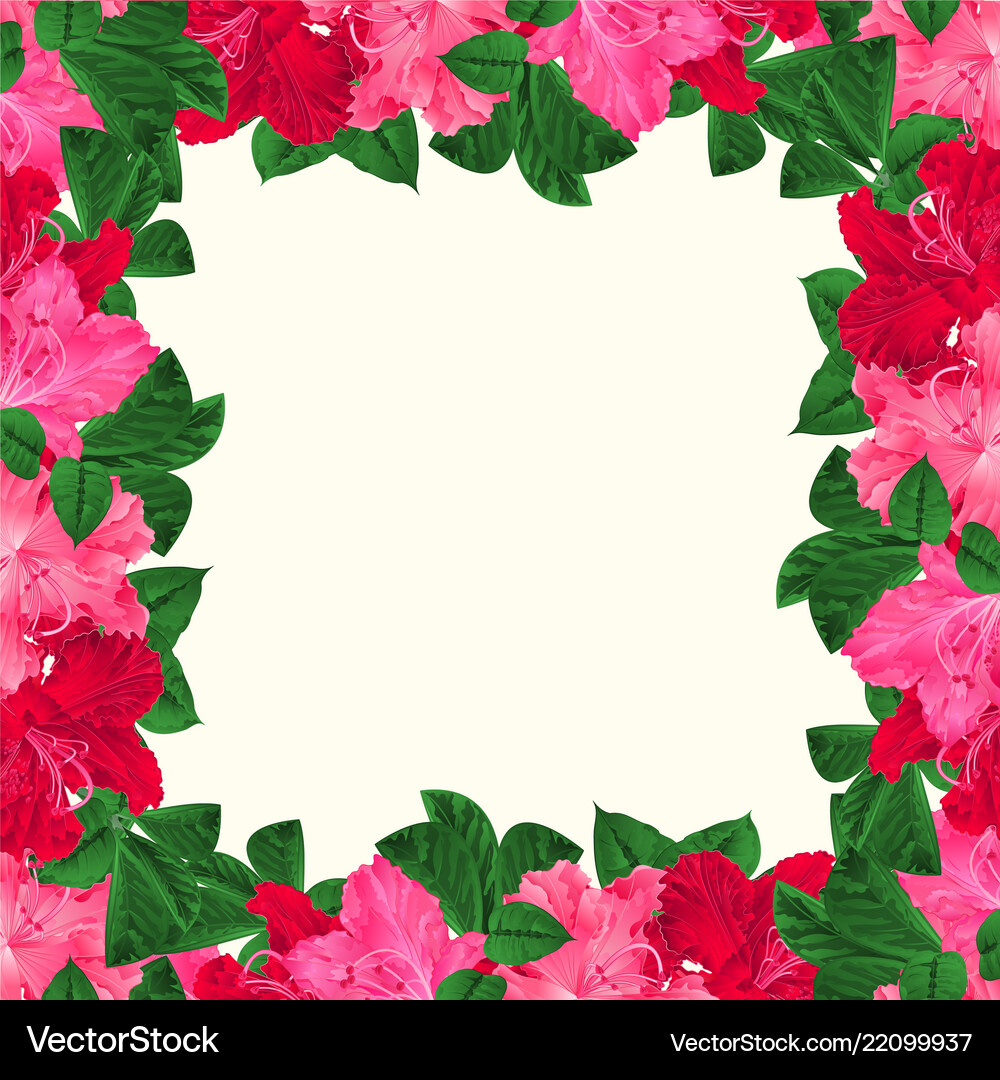 Floral frame festive background with blooming Vector Image