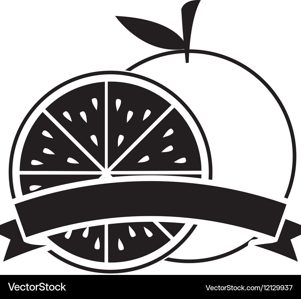 Isolated orange design Royalty Free Vector Image