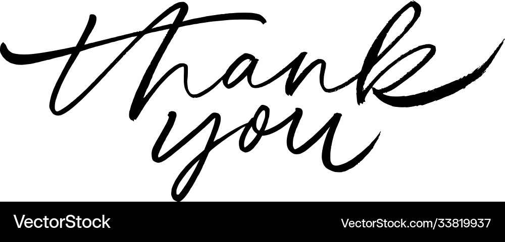 Thank you hand drawn modern calligraphy Royalty Free Vector