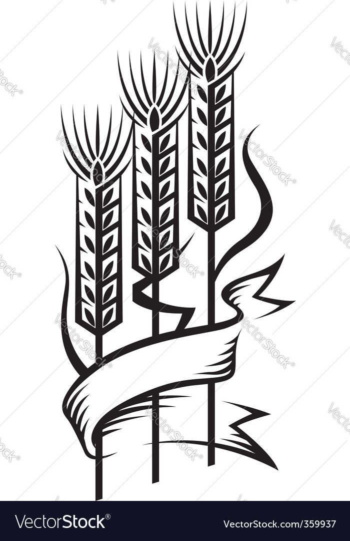Wheat Royalty Free Vector Image - VectorStock