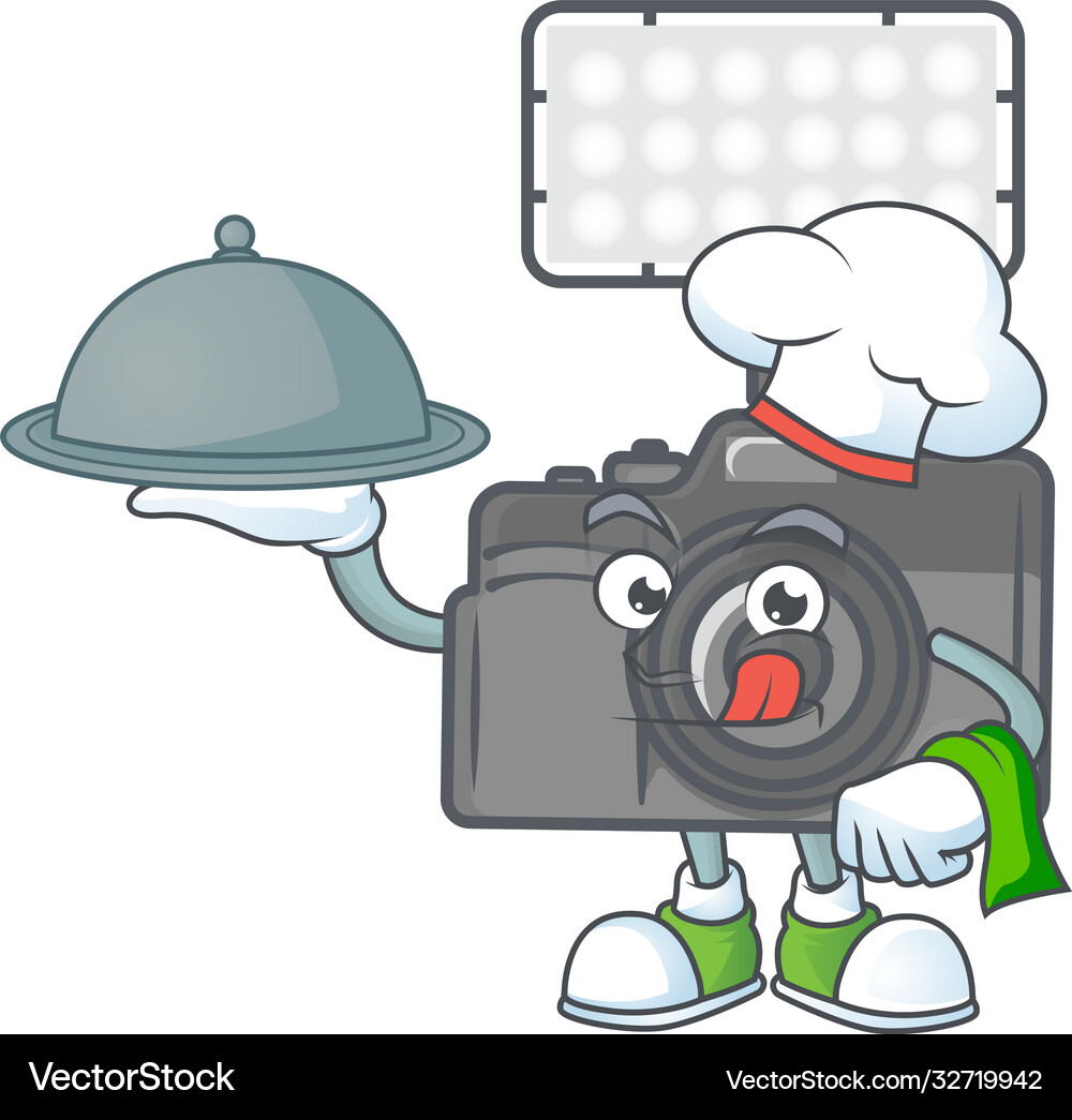 An icon photo camera with lighting as a chef Vector Image