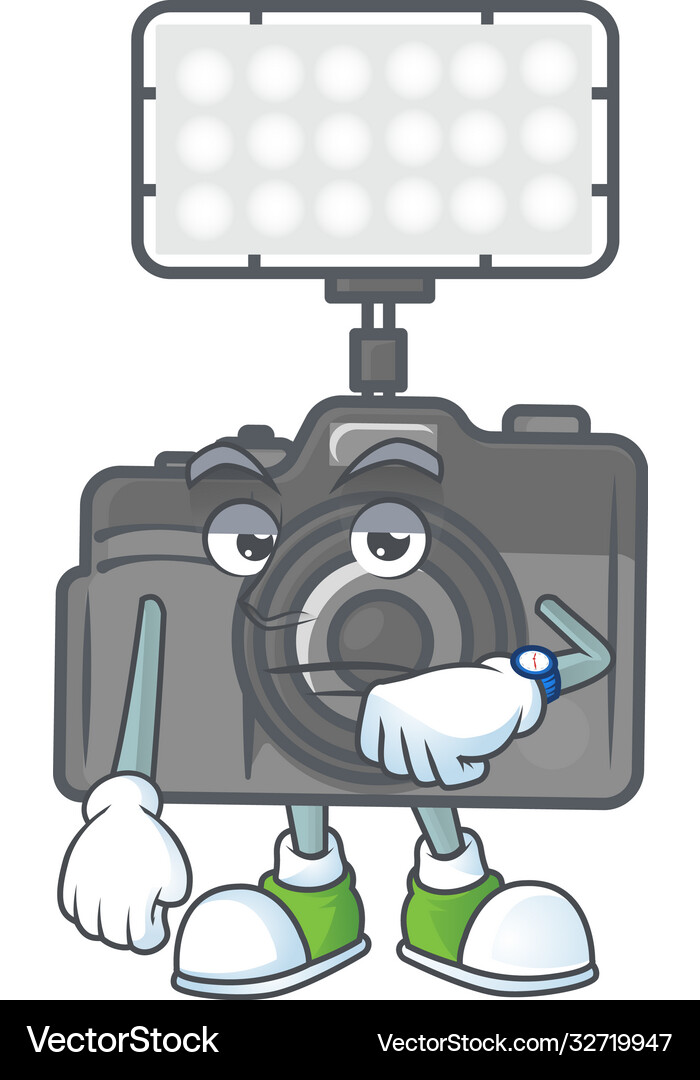 A picture photo camera with lighting Royalty Free Vector