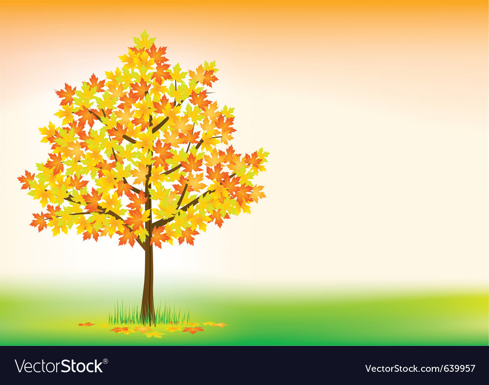 Autumn maple Royalty Free Vector Image - VectorStock