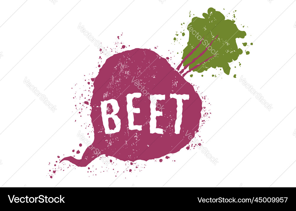 Vintage of beet Royalty Free Vector Image - VectorStock