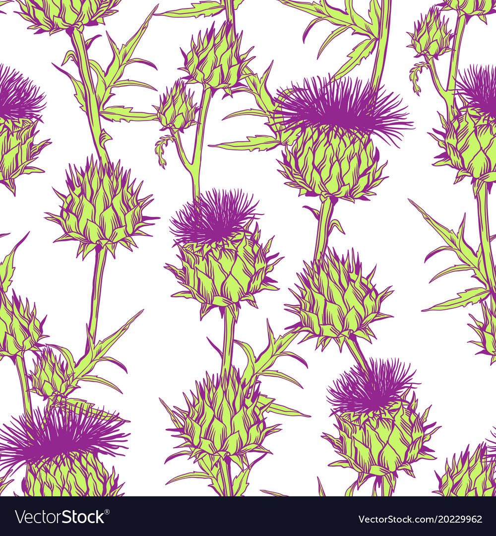 Scottish Thistle Pattern Royalty Free Vector Image