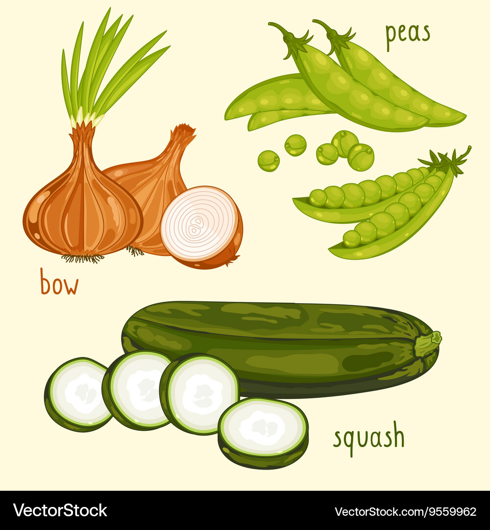 Vegetable mix Royalty Free Vector Image - VectorStock