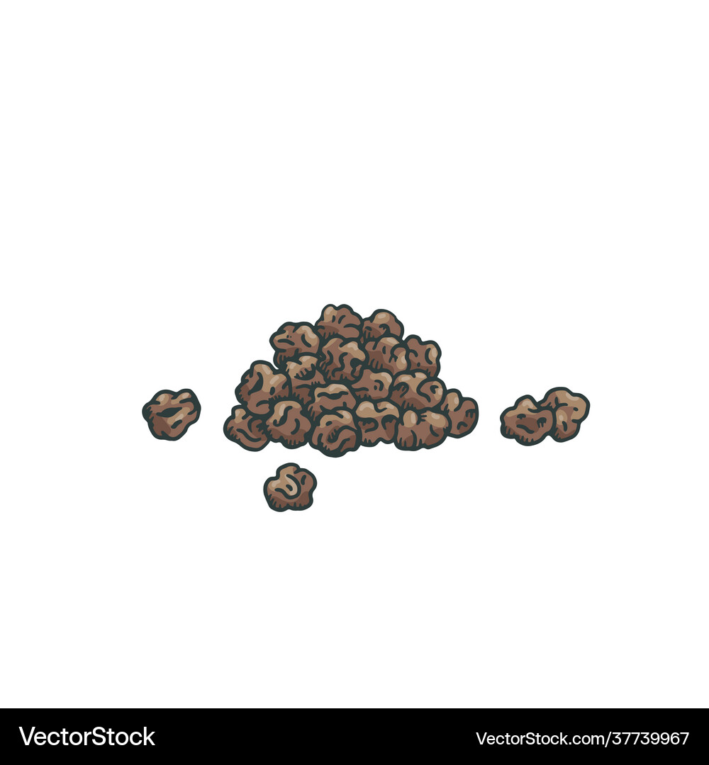 Heap black peppercorn seeds engraving hand Vector Image