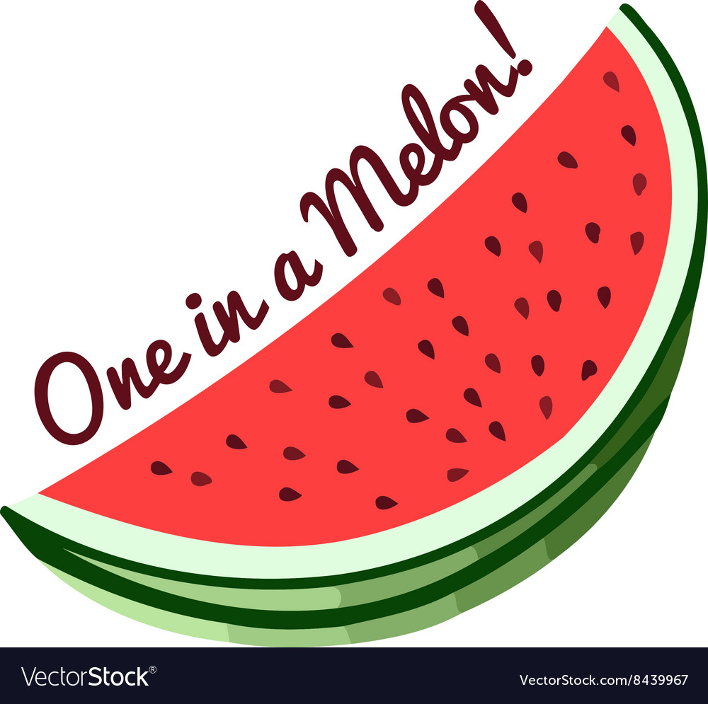 One melon Royalty Free Vector Image - VectorStock