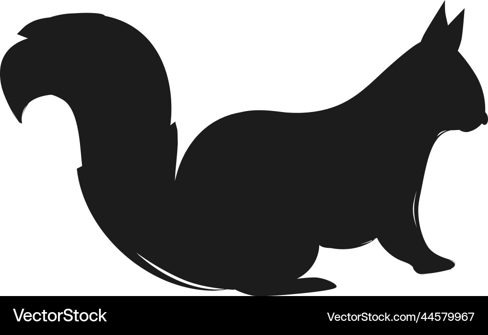 Squirrel black symbol wild forest animal Vector Image