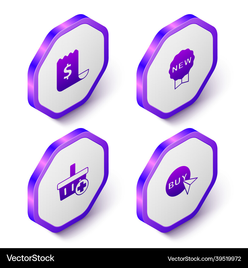 Set isometric paper check and financial check Vector Image