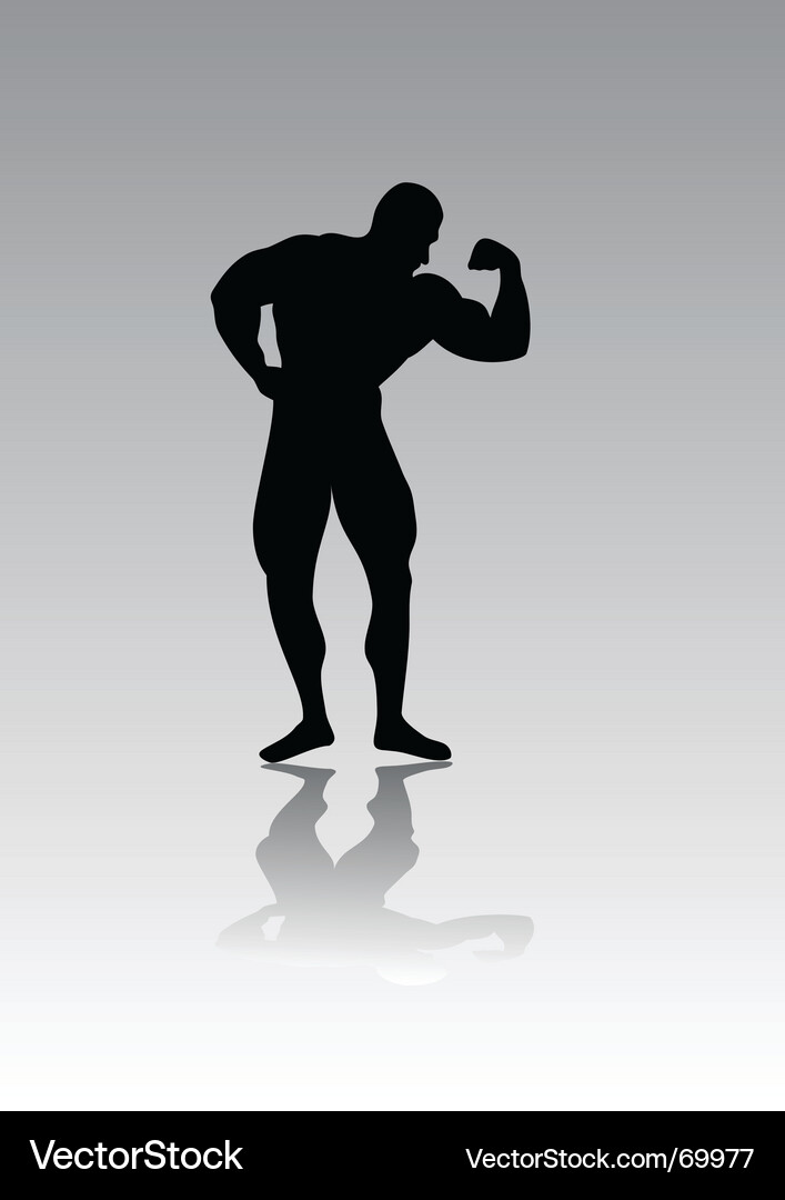 Bodybuilder Royalty Free Vector Image - VectorStock