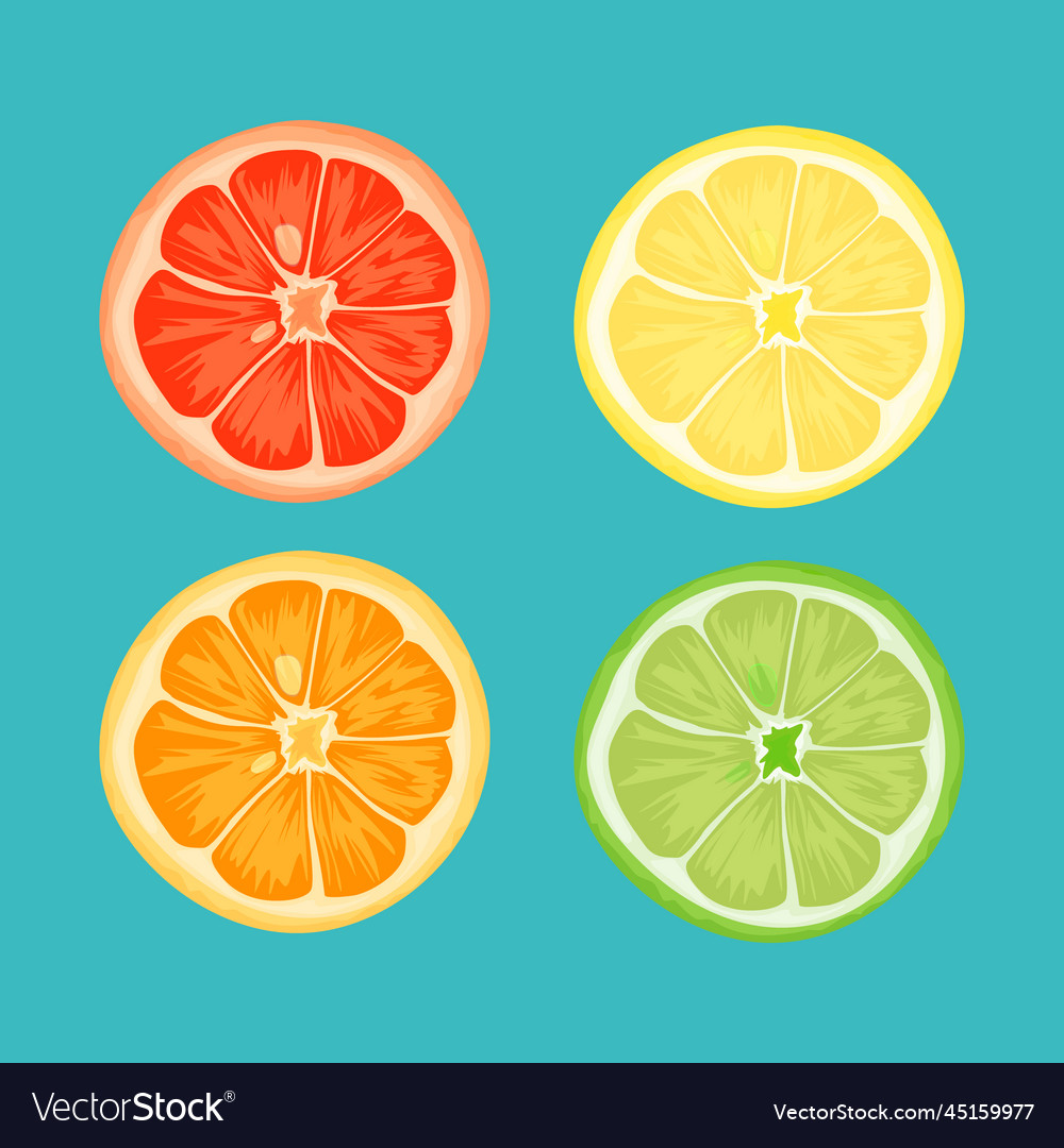 Citrus slices of lemon orange lime Royalty Free Vector Image