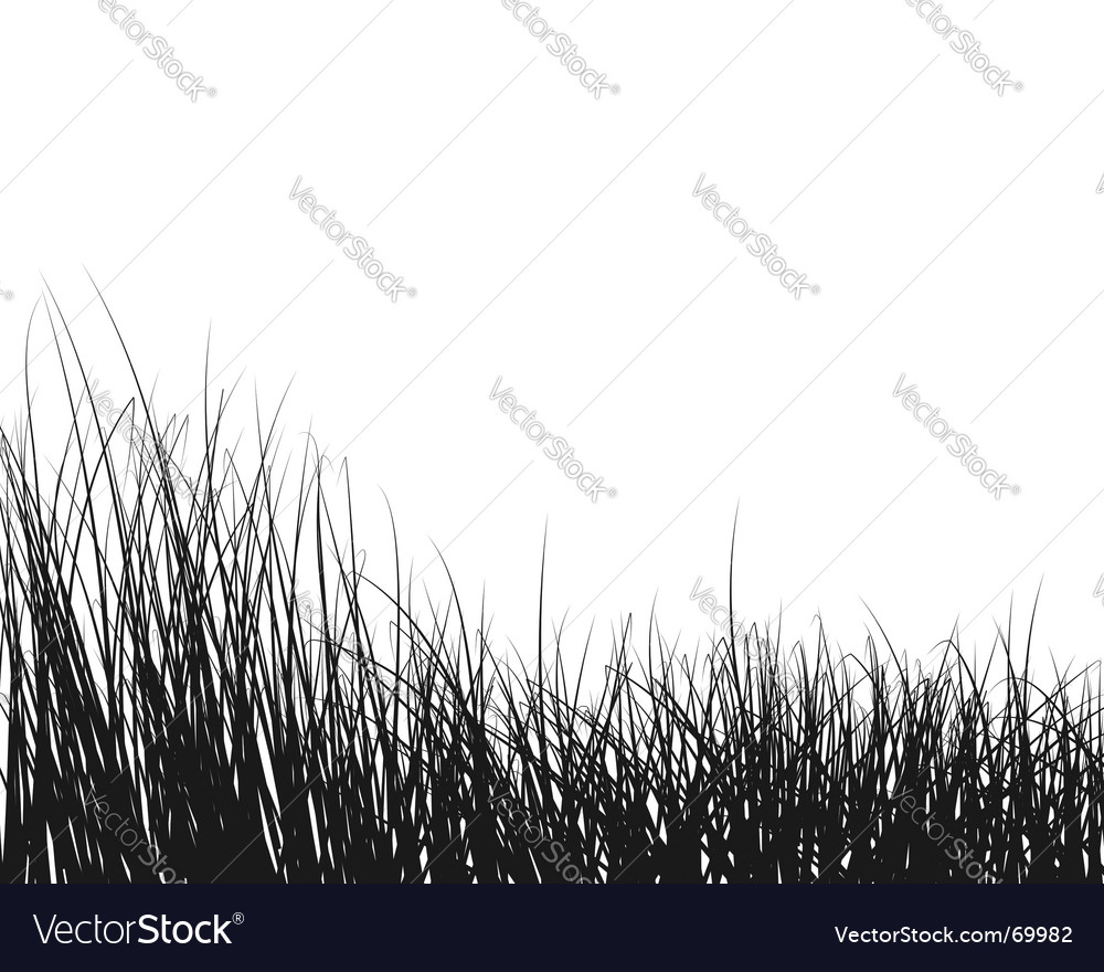 Grass Royalty Free Vector Image - VectorStock