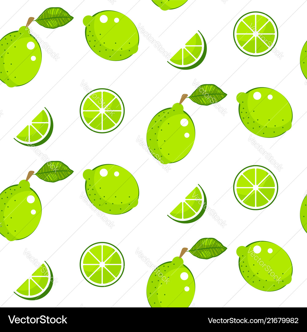 Lime with green leaves on white background citrus Vector Image