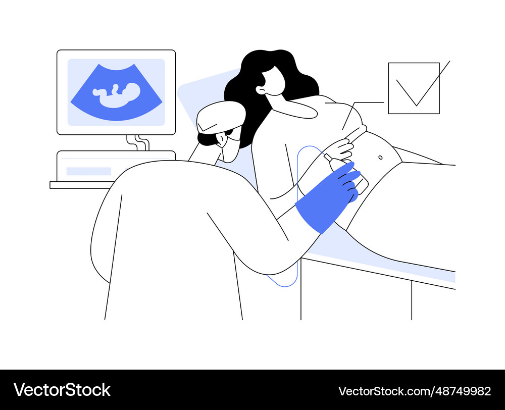 Pelvic ultrasound abstract concept Royalty Free Vector Image