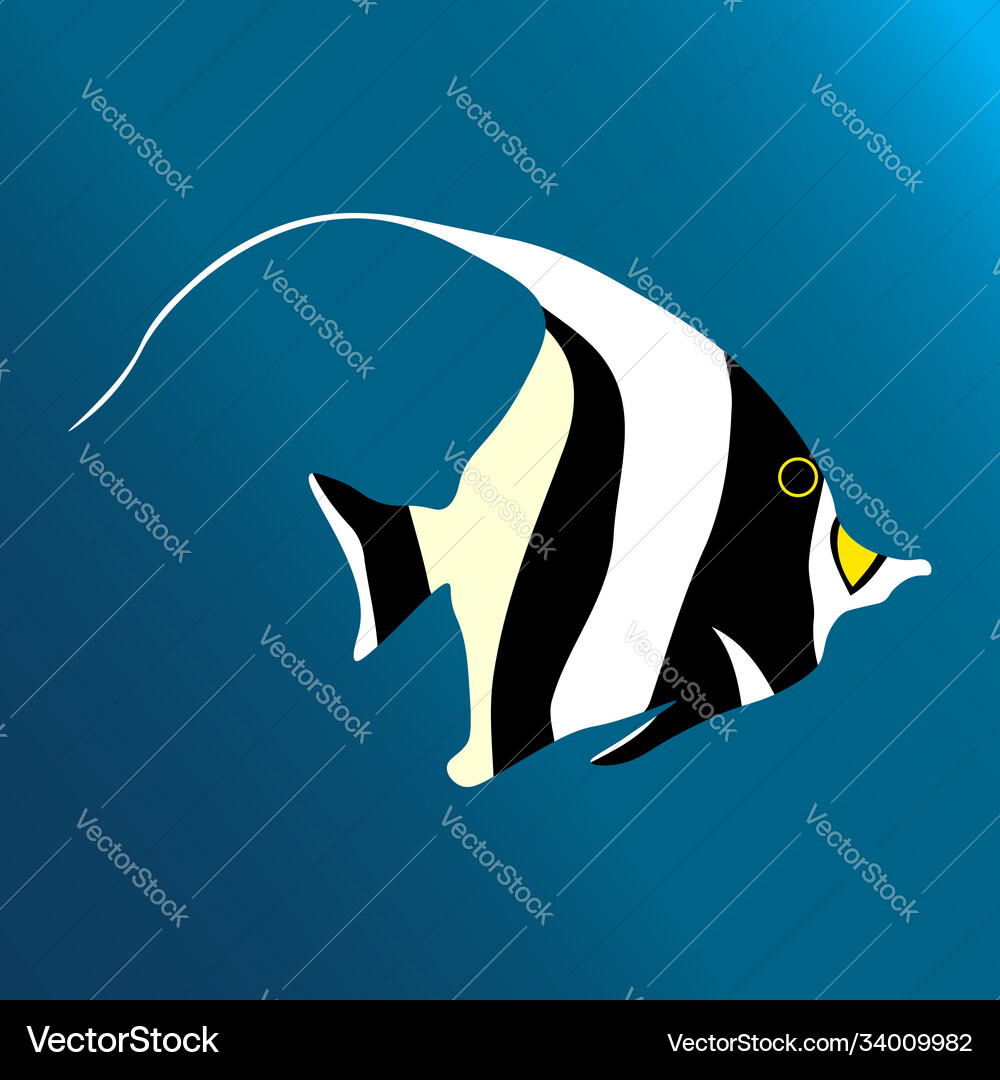 Tropical color sea fish Royalty Free Vector Image