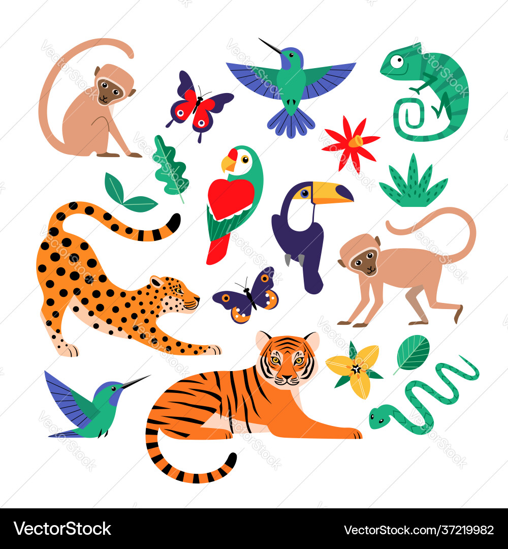 Tropical jungle animals and exotic birds Vector Image