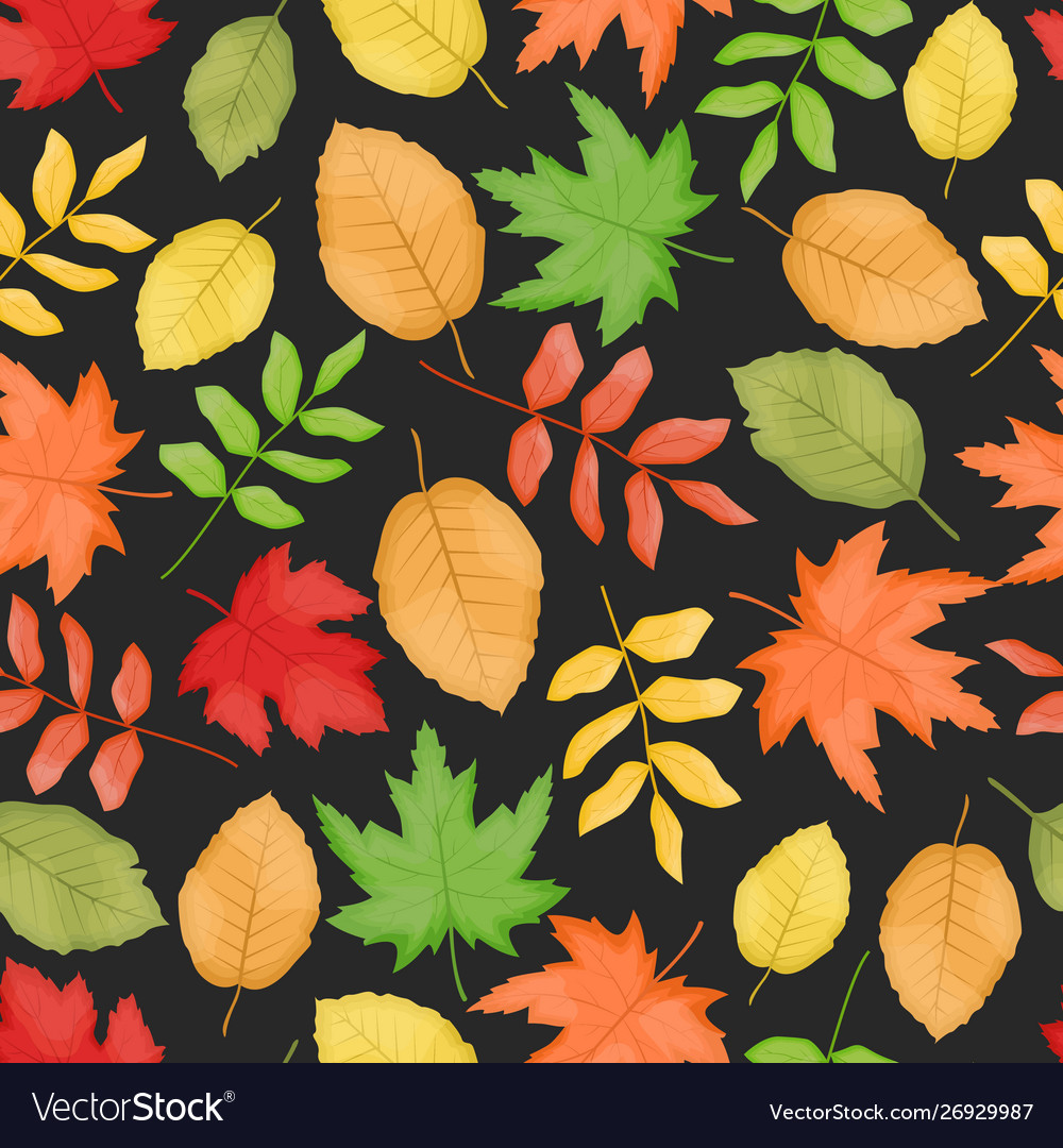 Autumn seamless pattern with fallen leaves Vector Image