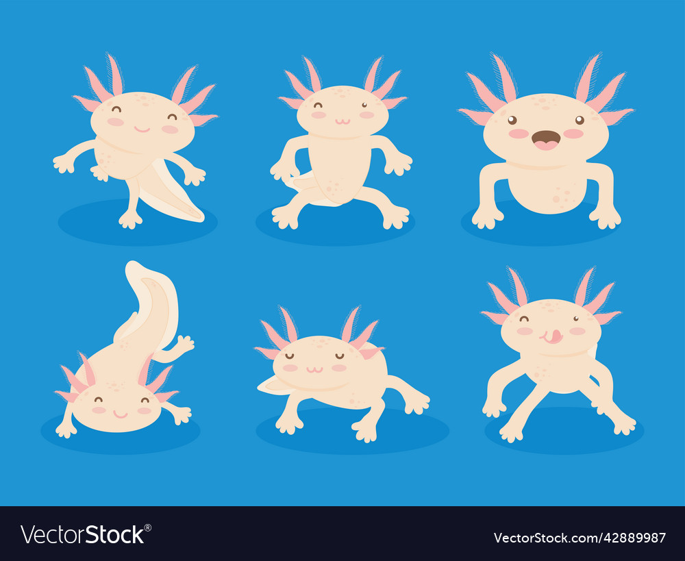 Cute axolotls icons set Royalty Free Vector Image
