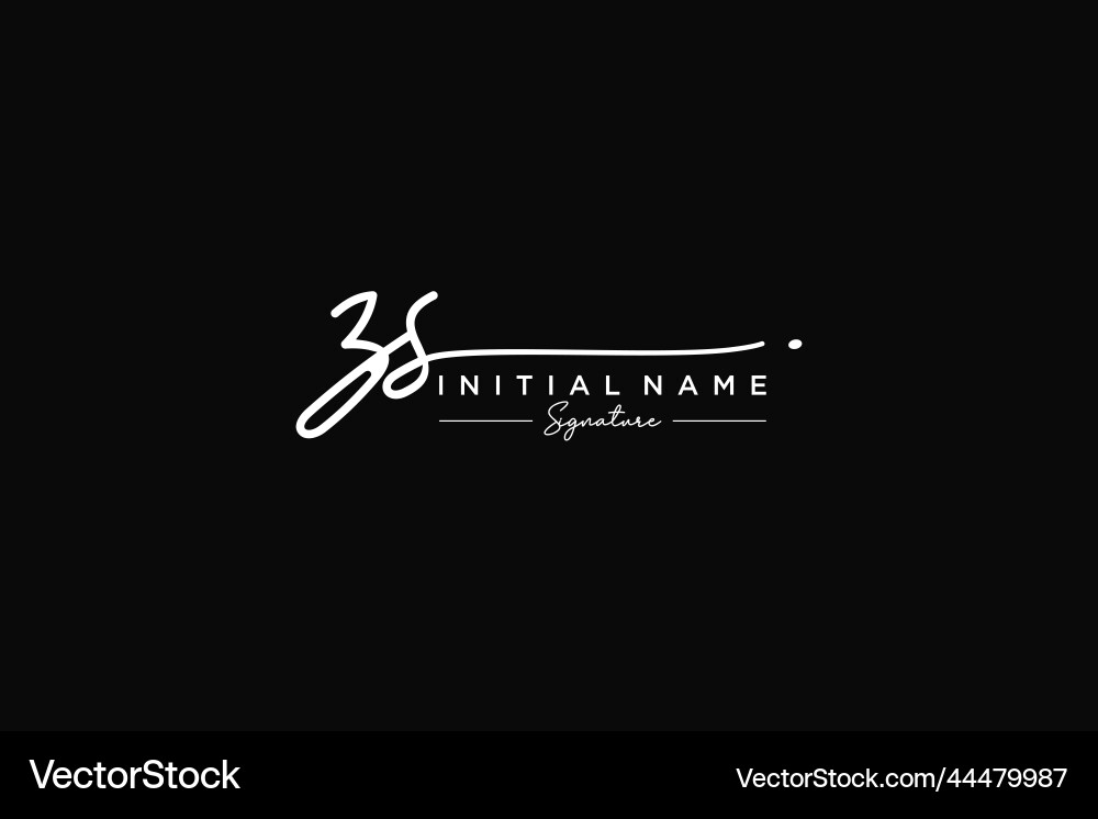 Initial zs signature logo template hand drawn Vector Image