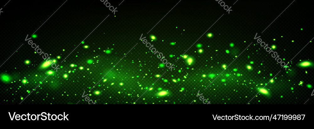 Light effect of green fireflies at night Vector Image