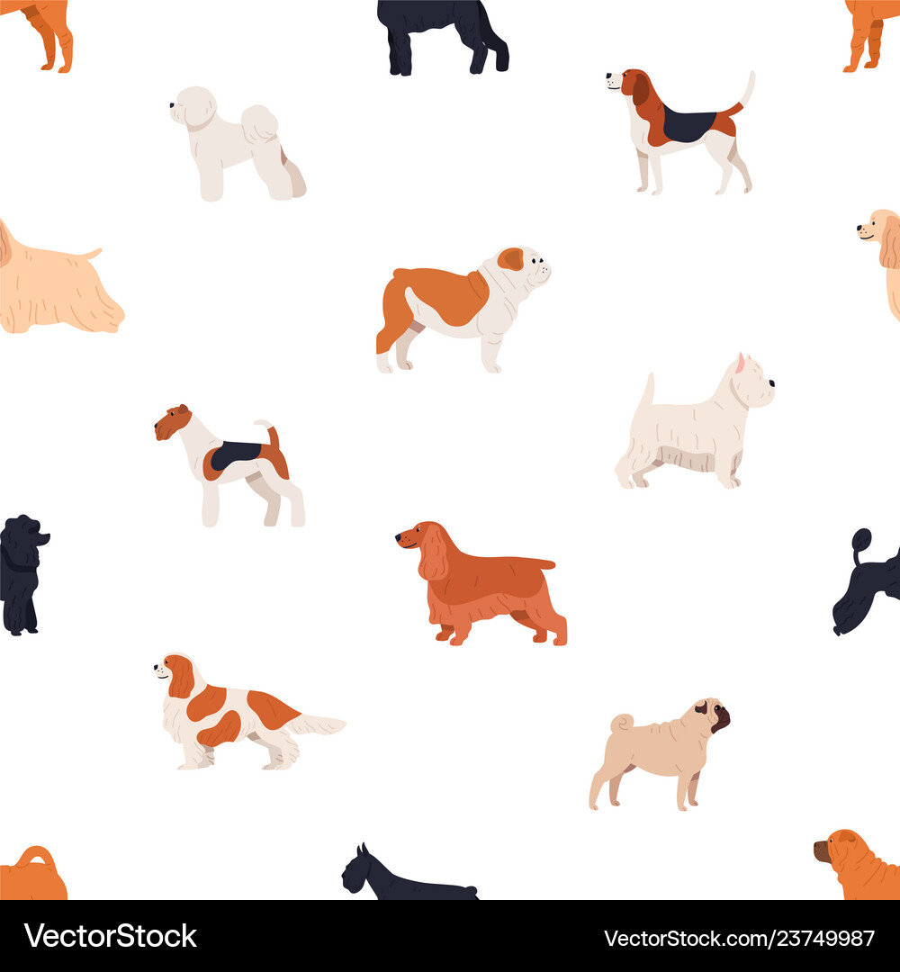 Seamless pattern with dogs of various breeds Vector Image