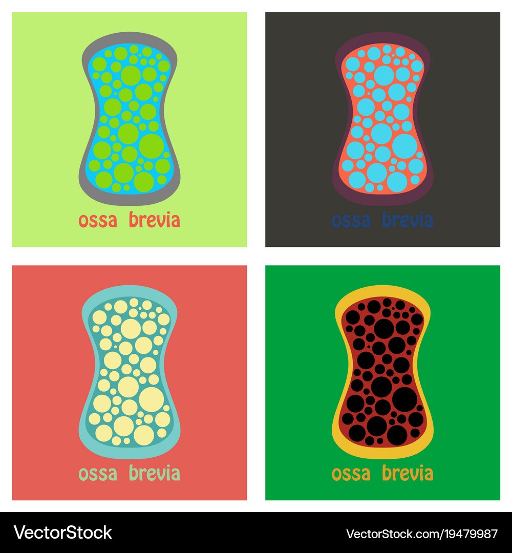 Set of bone flat icon single high quality outline Vector Image