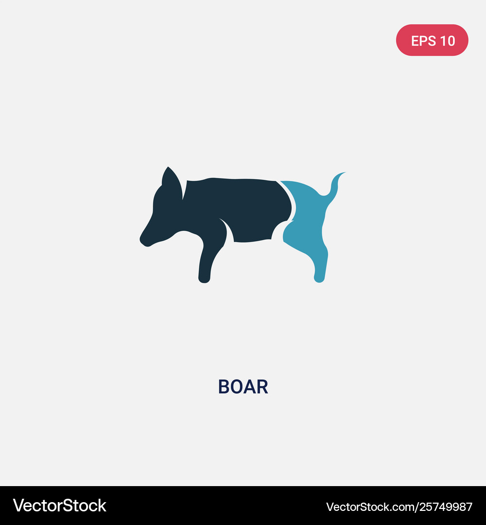 Two color boar icon from animals concept isolated Vector Image