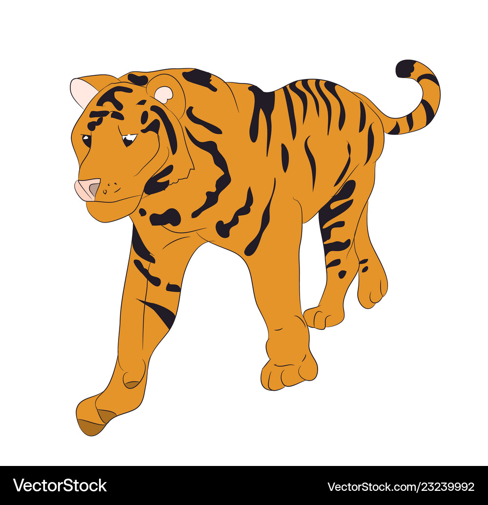 A tiger that stands drawing Royalty Free Vector Image
