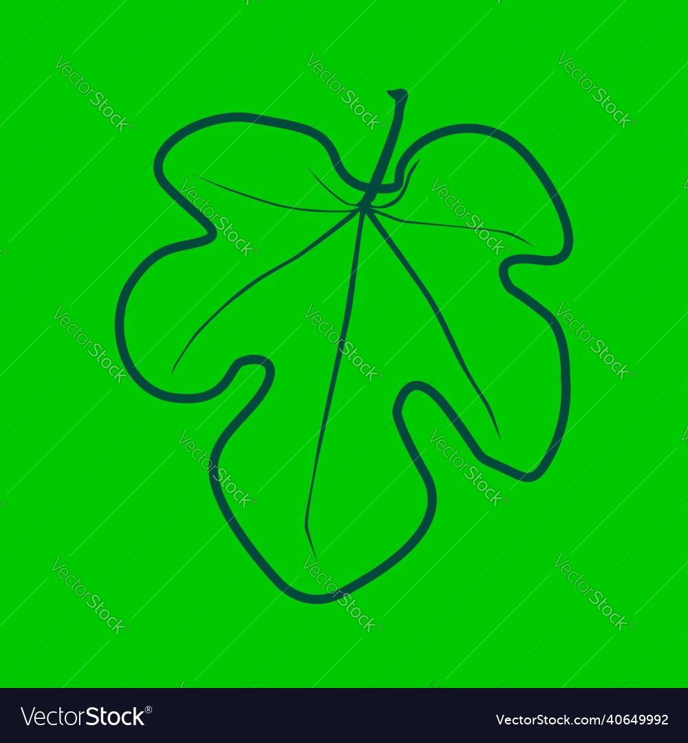 Fig leaf sketch Royalty Free Vector Image - VectorStock