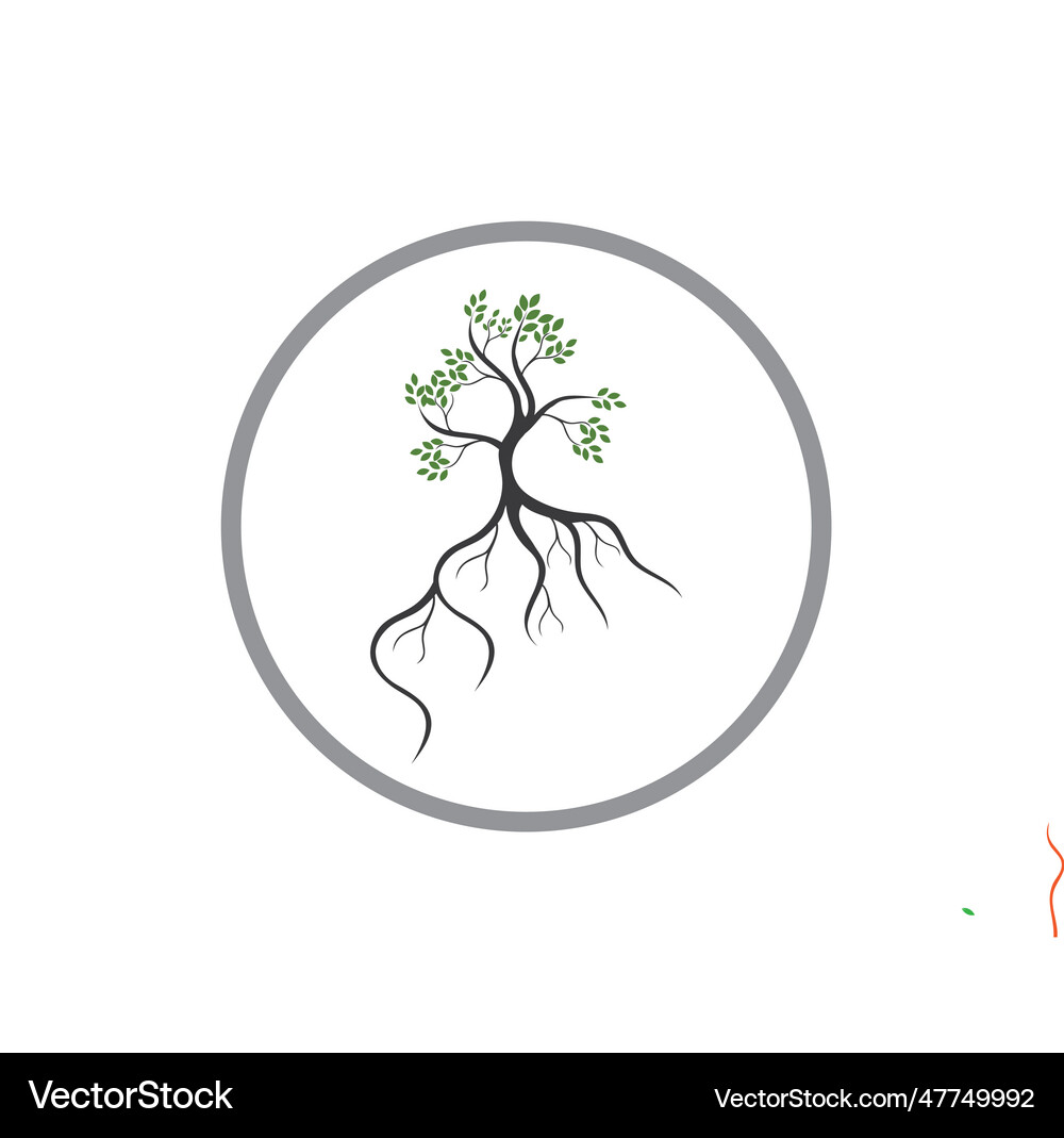 Mangrove trees and forest ecology logo Royalty Free Vector