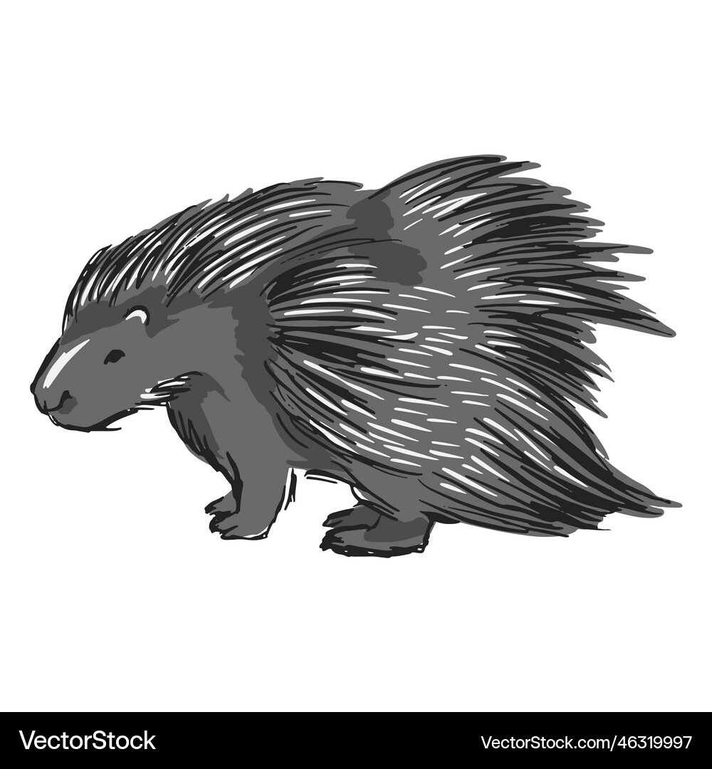 Adorable porcupine Royalty Free Vector Image - VectorStock