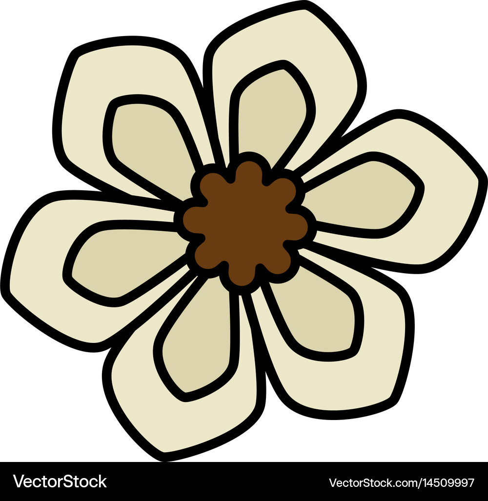 Beautiful flower ornament Royalty Free Vector Image