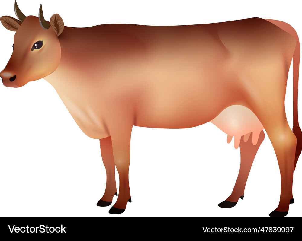 Realistic brown cow brown cow Royalty Free Vector Image