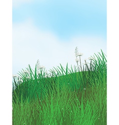 Grassland Vector Images (over 5,700)
