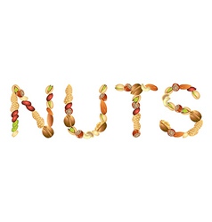 Nuts set Royalty Free Vector Image - VectorStock
