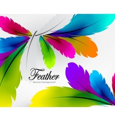 Colorful feather design Royalty Free Vector Image