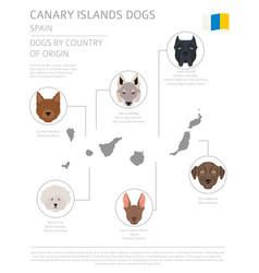 Dogs country origin spanish dog breeds Royalty Free Vector
