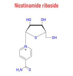 Nicotinamide riboside molecule Royalty Free Vector Image