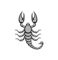 Scorpion Outline Vector Images (over 880)