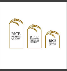 Premium rice great quality design concept Vector Image