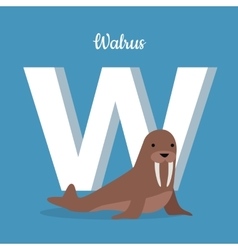 Alphabet letter w walrus children Royalty Free Vector Image