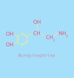 Norepinephrine noradrenaline norepi hormone and Vector Image