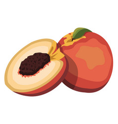 Nectarine Vector Images (over 2,100)