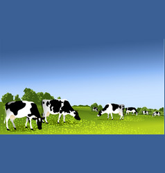 Cartoon Paddock Vector Images (over 390)