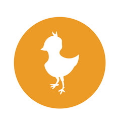 Chick Vector Images (over 22,000)