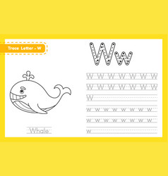 Trace letter w uppercase and lowercase alphabet Vector Image