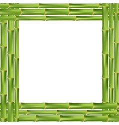 Bamboo frame Royalty Free Vector Image - VectorStock
